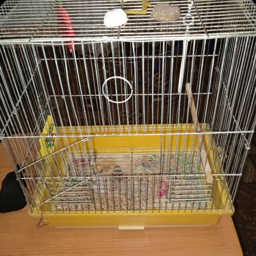 Клетка для попугая