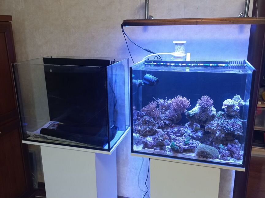 Морской аквариум с задний самп 120л и100 оптивайт