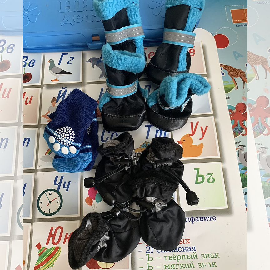 Ботинки для собак