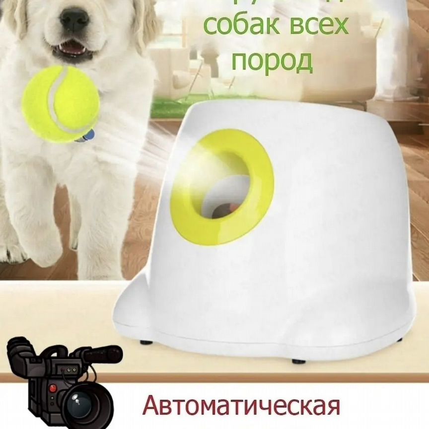 Автоматическая катапульта