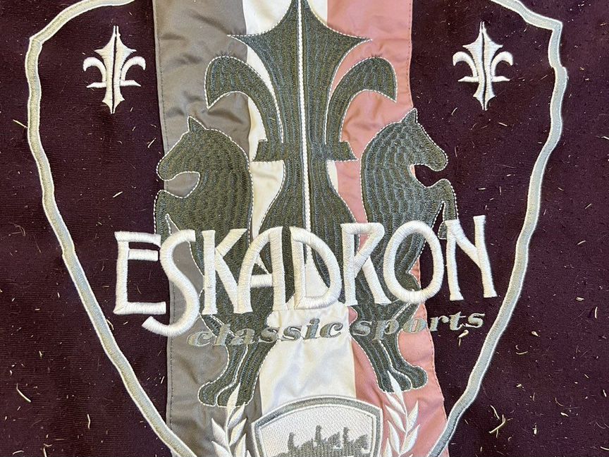 Попона escadron 165