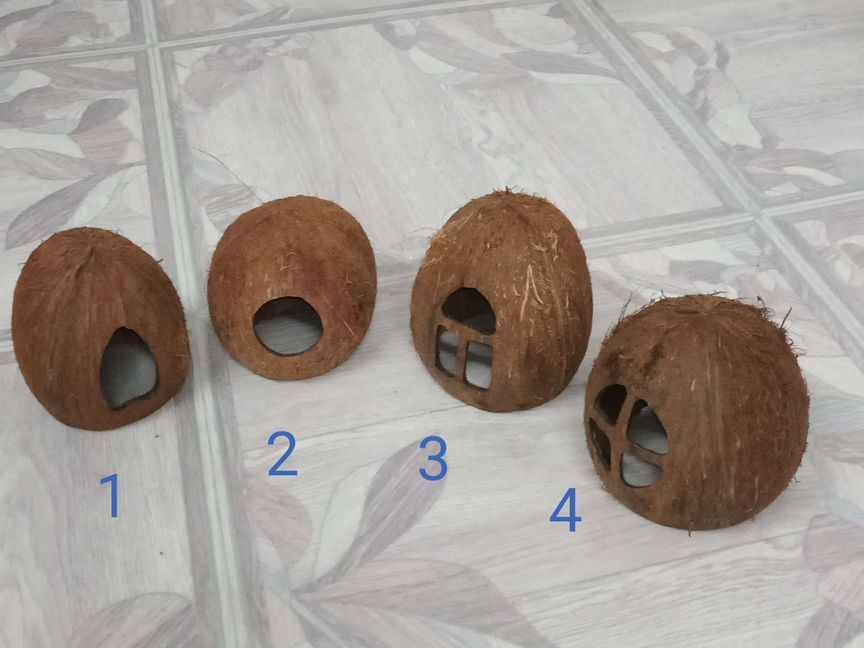 Грот из кокоса, дом для хомяка, домик для ахатин