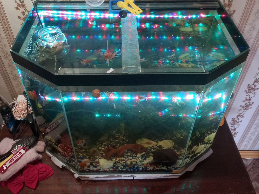 Аквариум с рыбками и декором