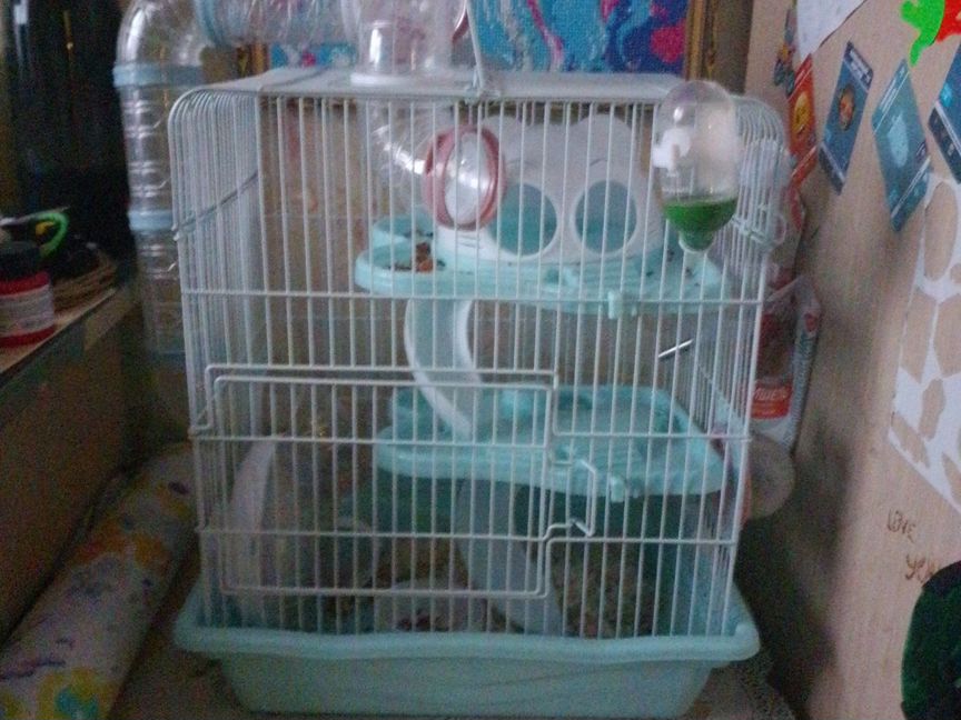 Клетка для грызунов большая