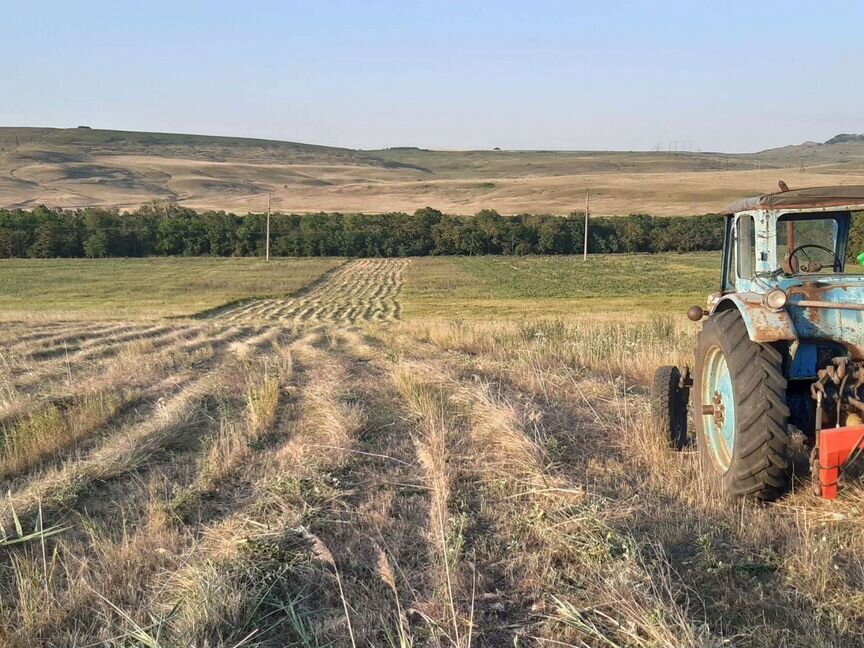 Сено суданки разнотравие