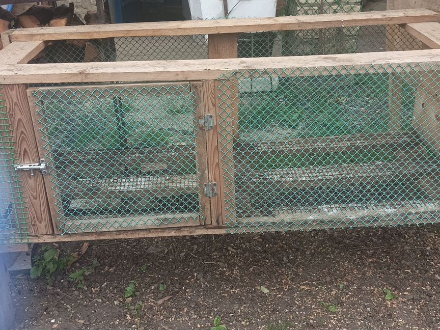 Клетка для цыплят