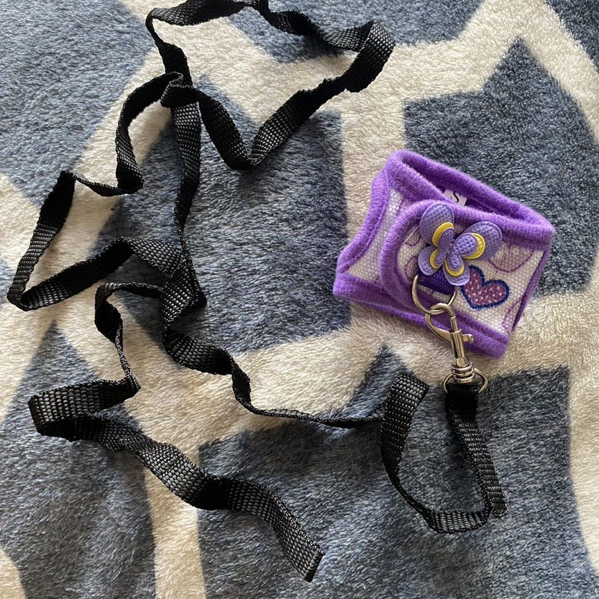 Шлейка для грызунов