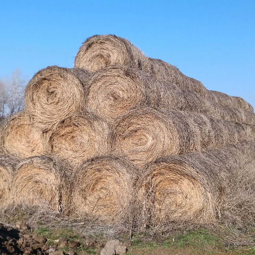 Сено в рулонах