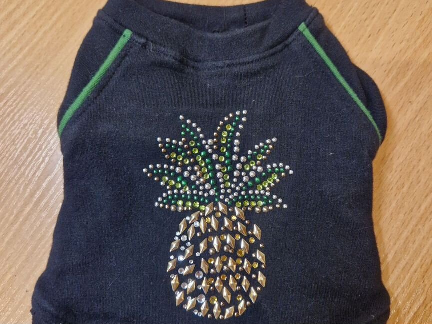 Одежда для собак мелких пород