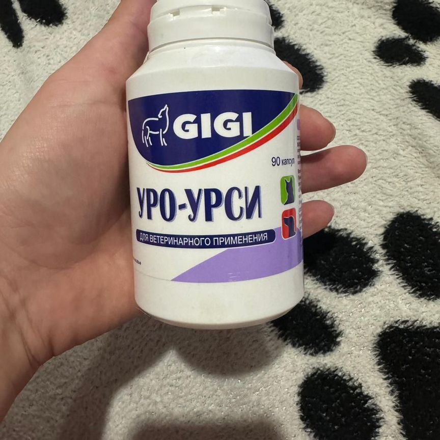 Уро урси