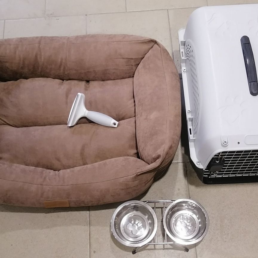 Аксессуары для собак и кошек