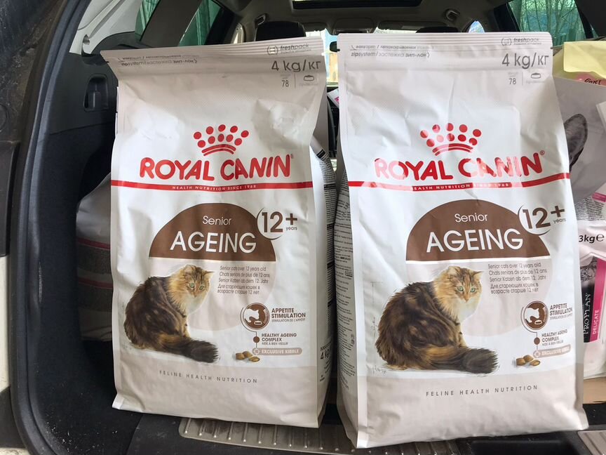 Корм для кошек роял канин Агеинг 12+