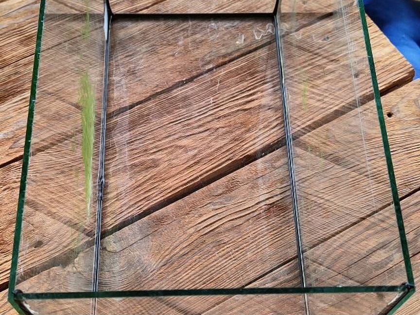 Аквариум и комплектующие