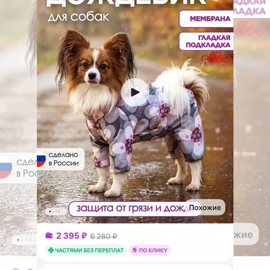 Дождевик для собаки девочки мелких/средних пород