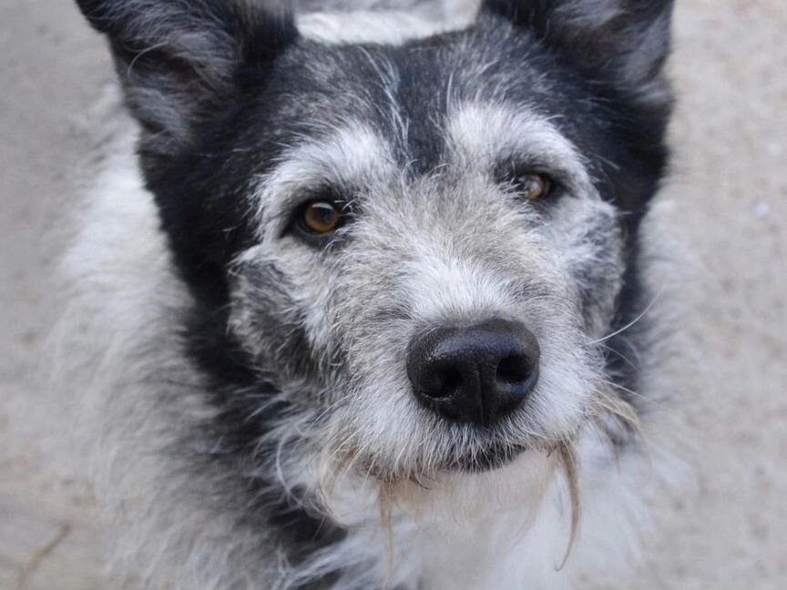 Марик хочет домой