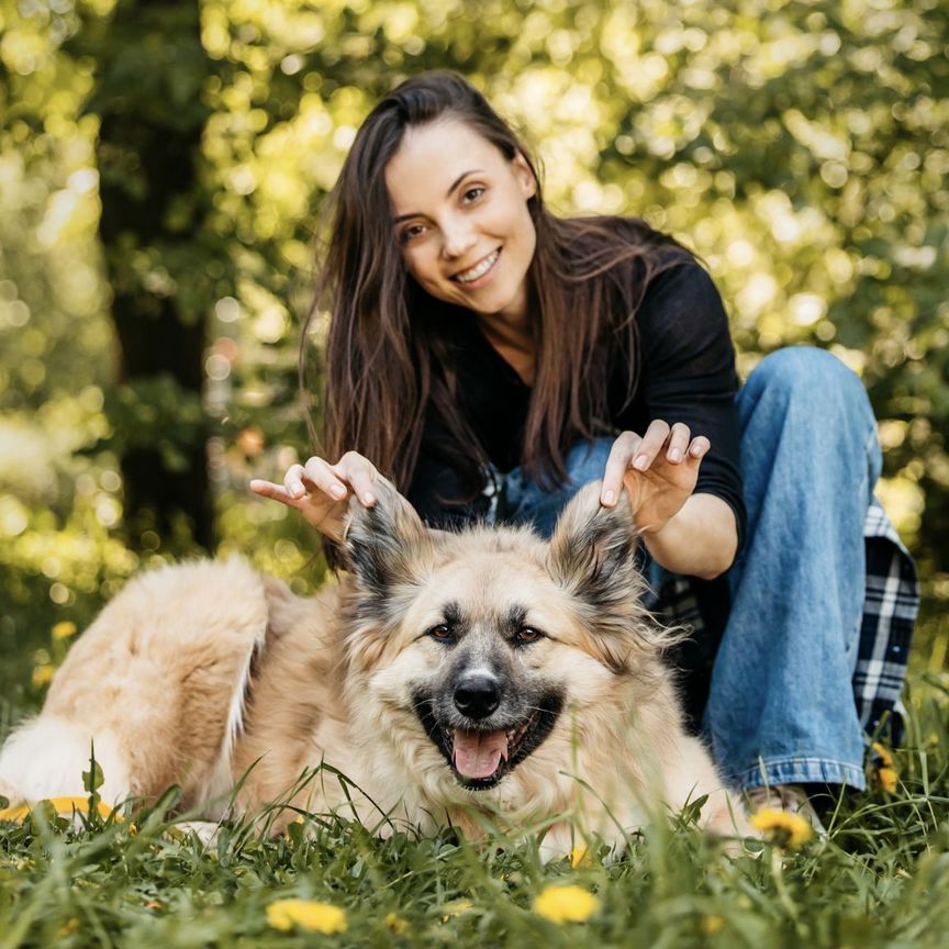 Собака из приюта в добрые руки