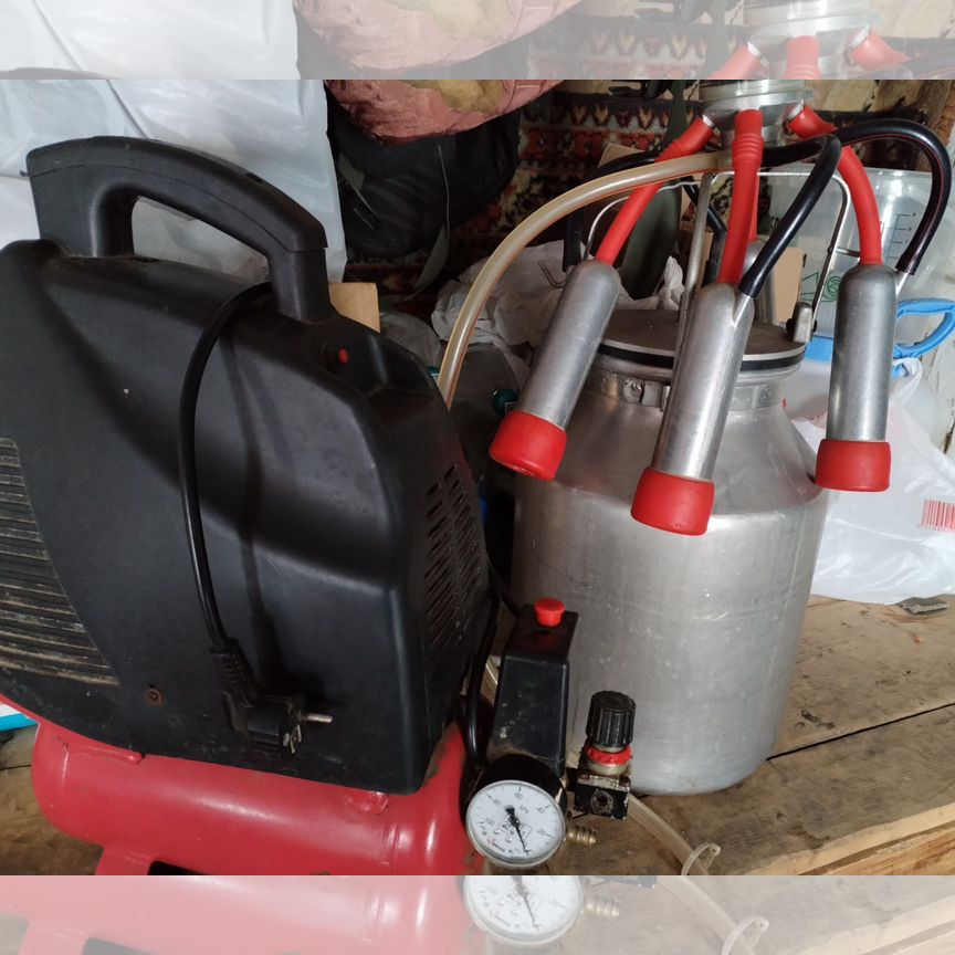 Доильный аппарат для коров бу ак 6