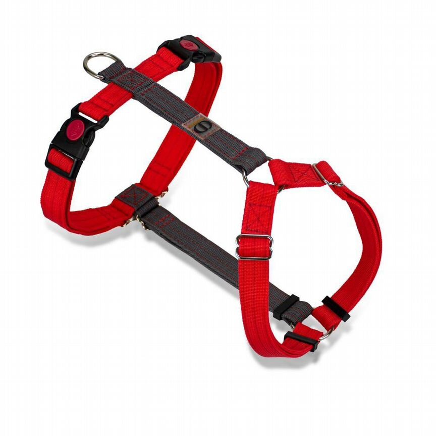 Красная шлейка coradog S