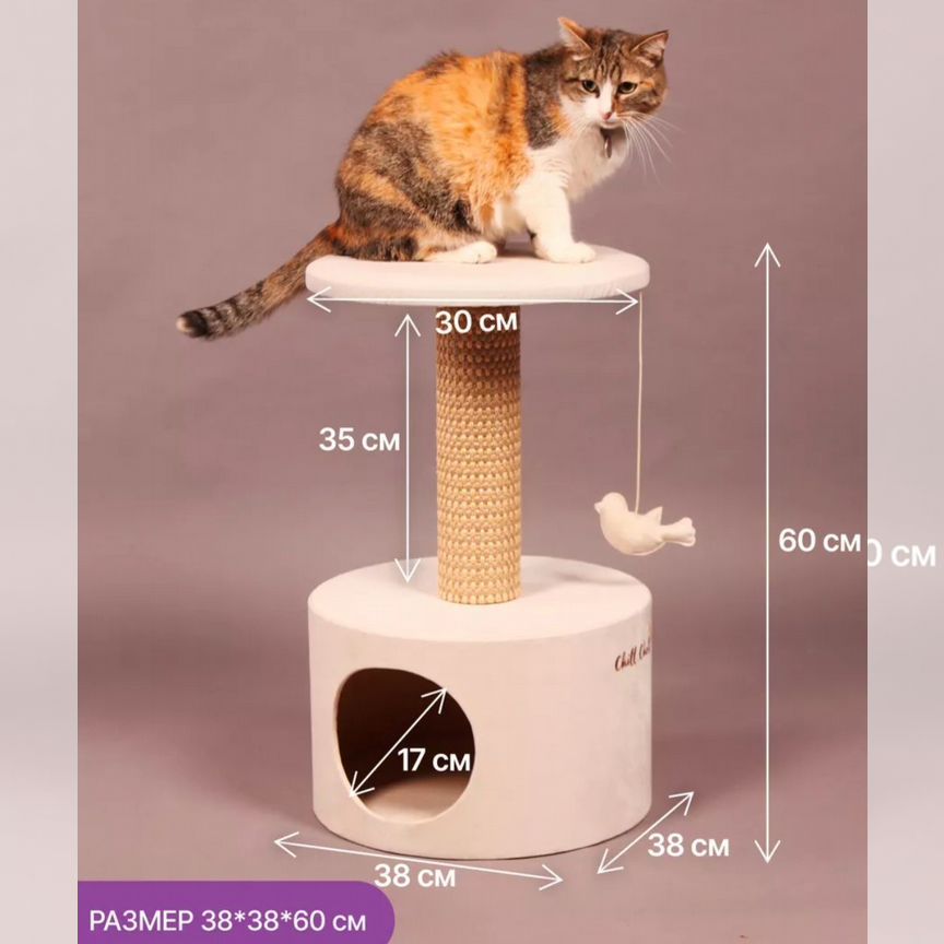 Когтеточка