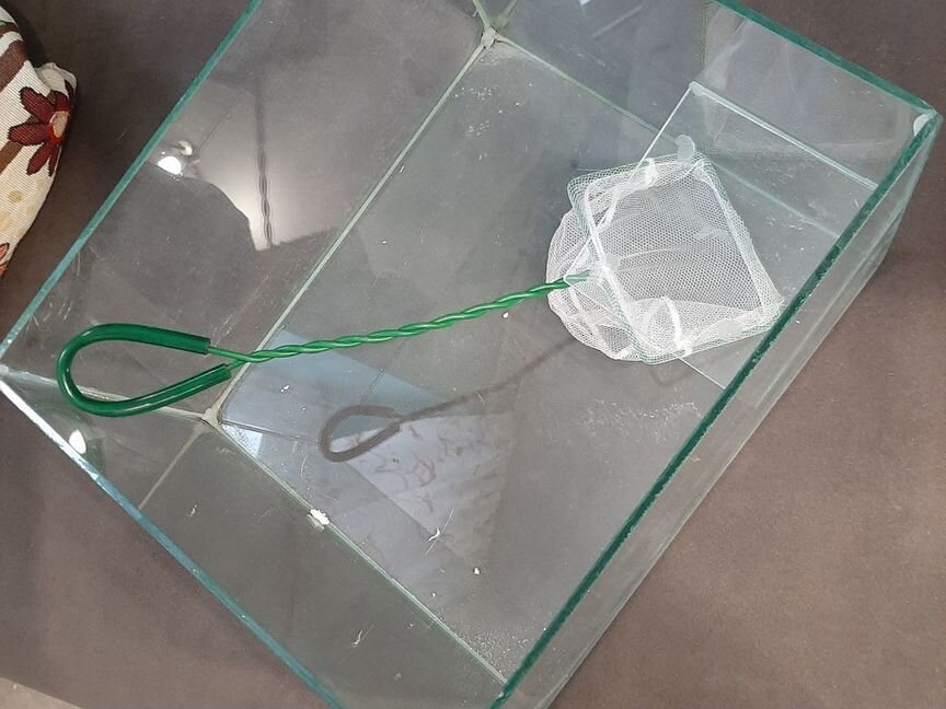 Террариум для красноухой черепахи