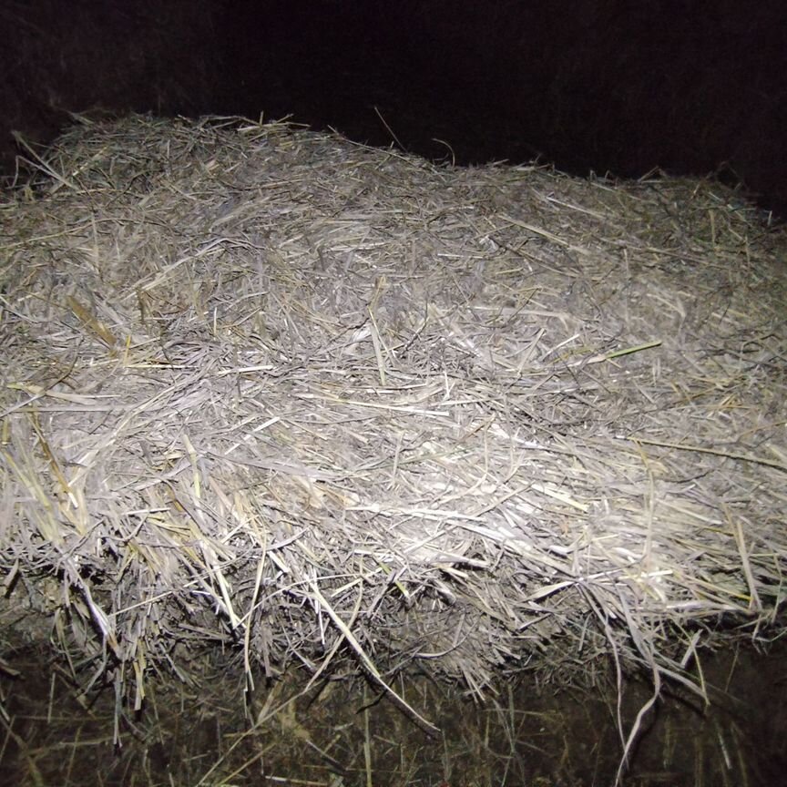 Продам сено