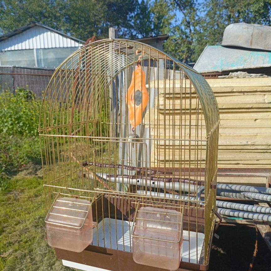 Клетка для попугая бу