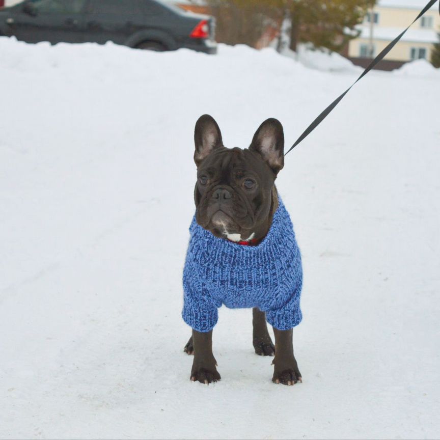 Ждёт семью подросток, девочка