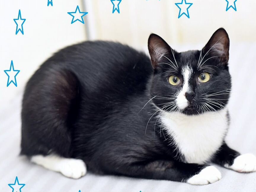 Малышка Руна