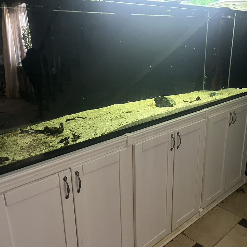 Аквариум 1150 литров