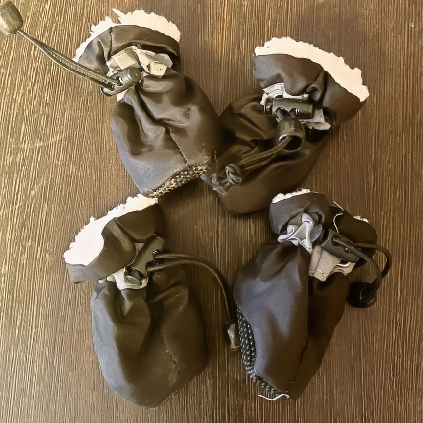 Обувь для собак