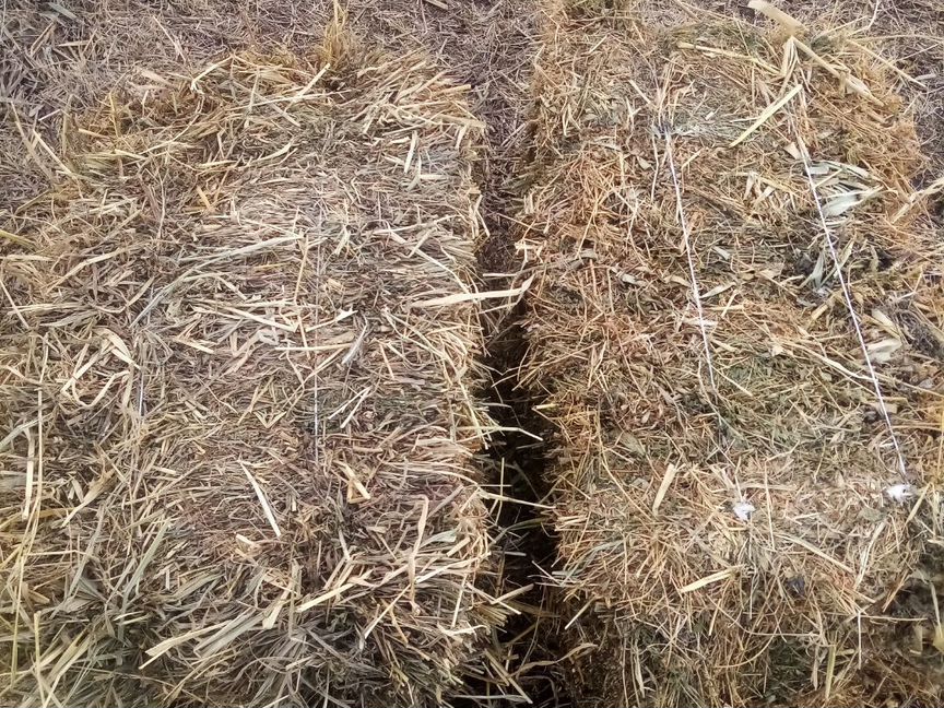 Сено люцерны в тюках судака в тюках