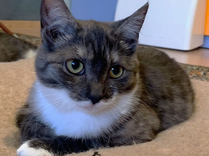 Стильная красотка ждёт свою маму