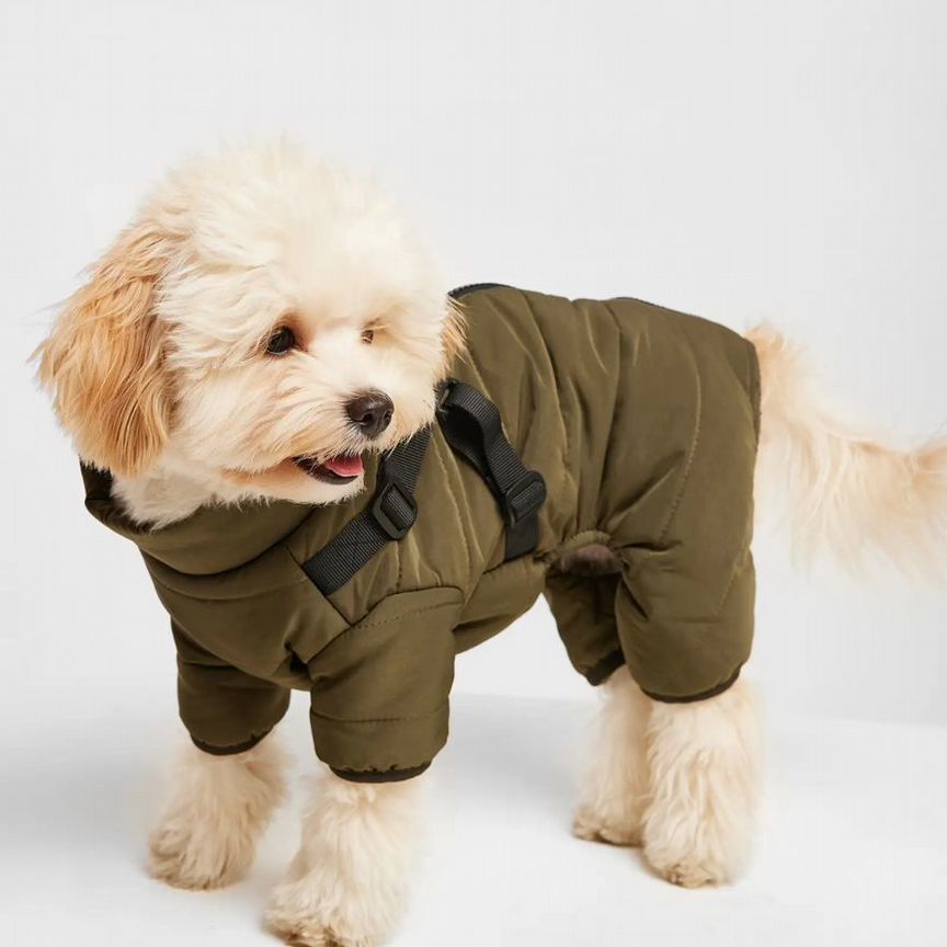 Одежда для собак мелких пород бу