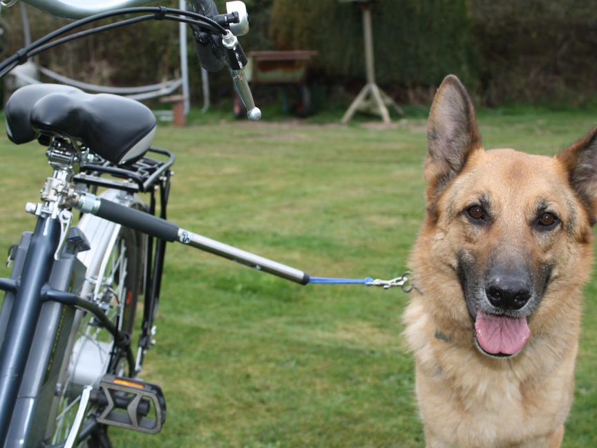Велоспрингер Велосипедный поводок для собаки