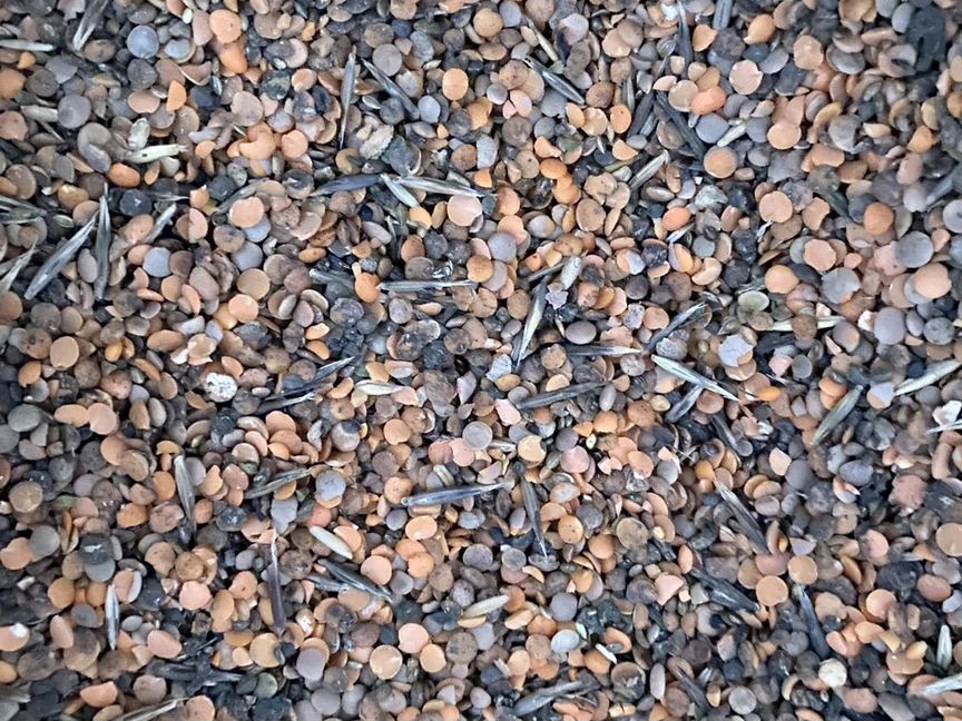 Чечевичные отходы