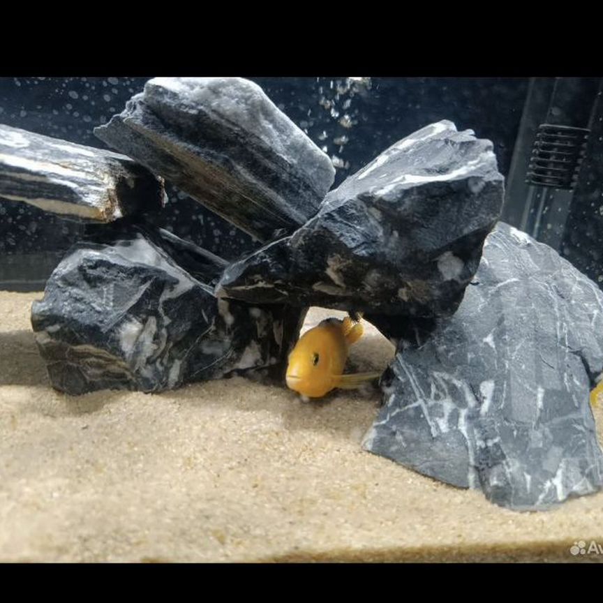 Камни для аквариума