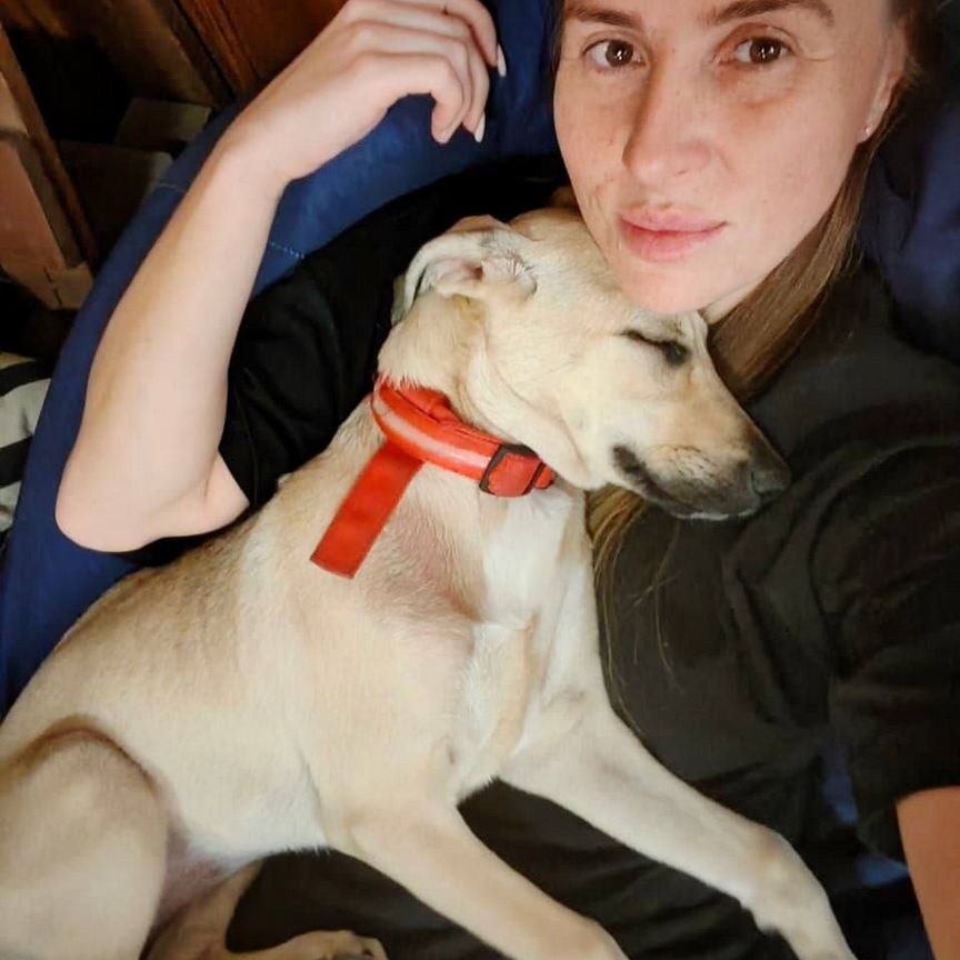 Щенок маленькой собаки 10кг в добрые руки в дар