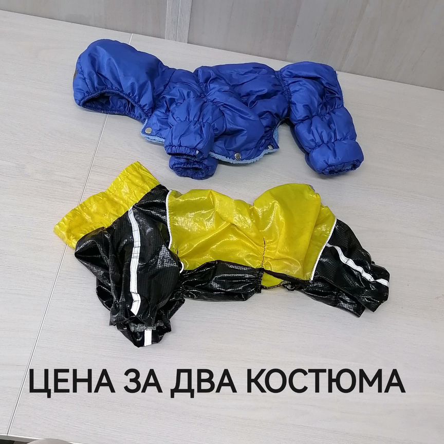 Зимний комбинезон   дождевик для собаки