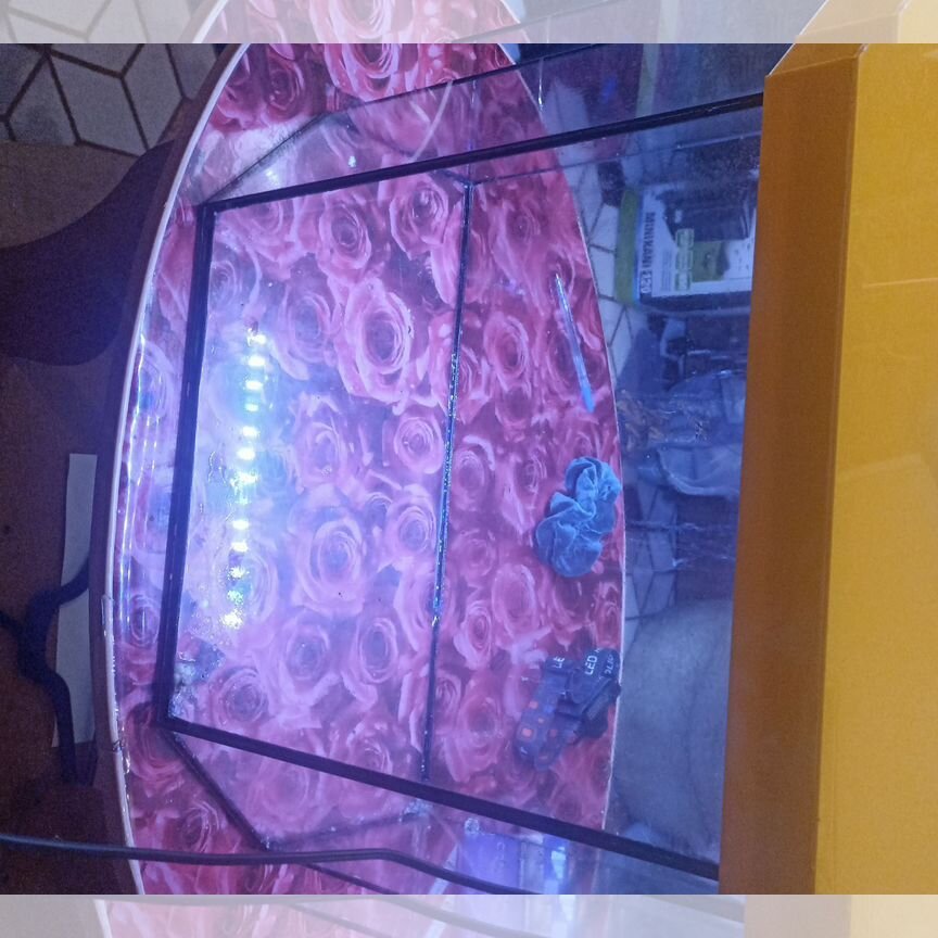 Аквариум панорамный