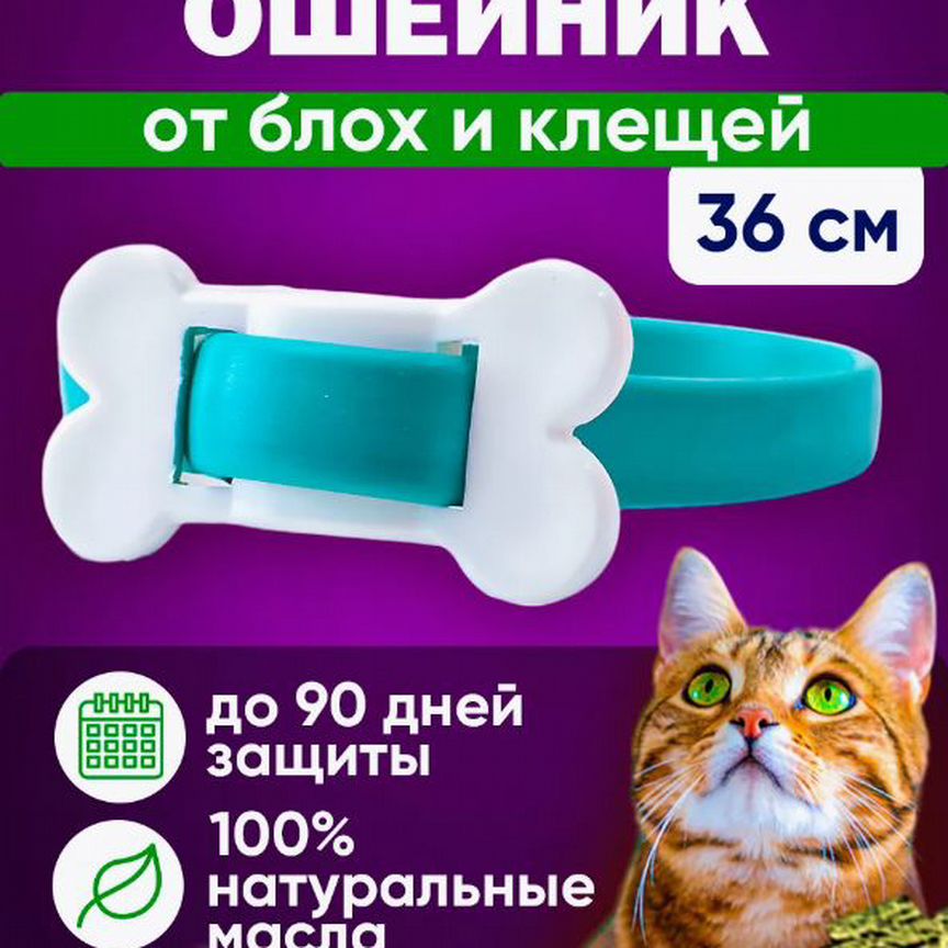 Ошейник для котят и щенков