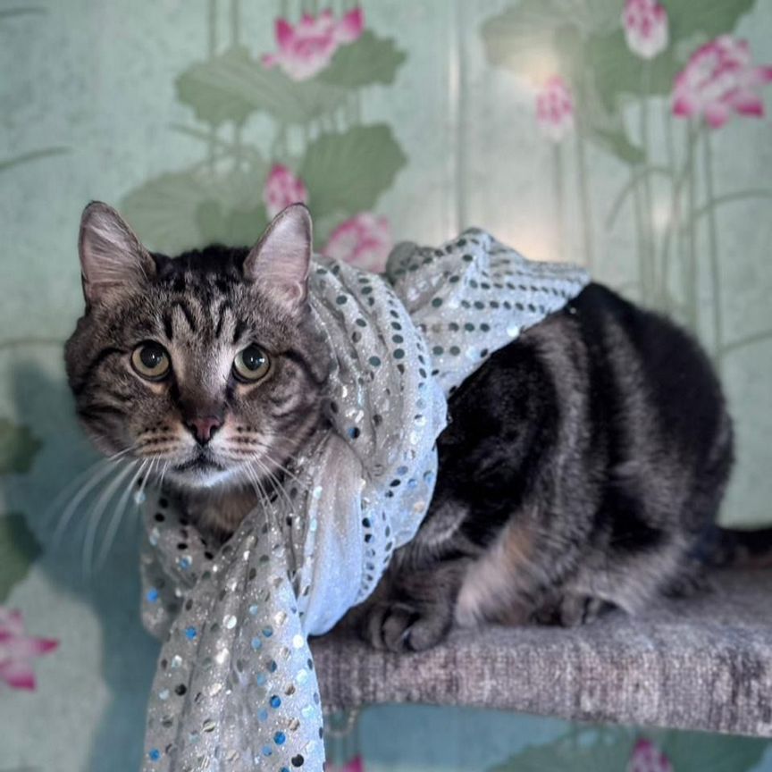 Жан в поиске дома