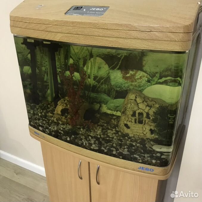 Аквариум с двумя сомиками jebo r 362