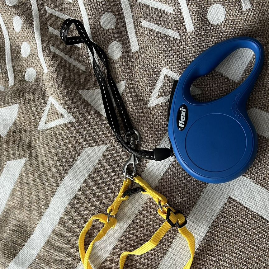 Поводок рулетка с шлейкой