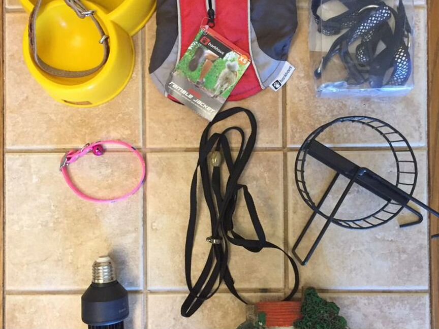 Жилет,поводок,шлейка.Для террариума