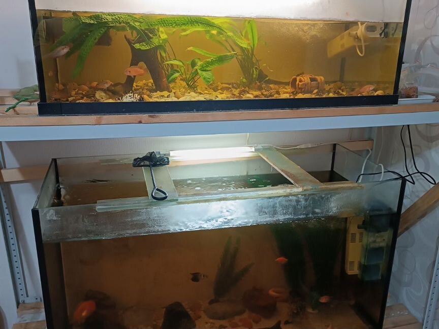 Аквариум с тумбой 300 литров