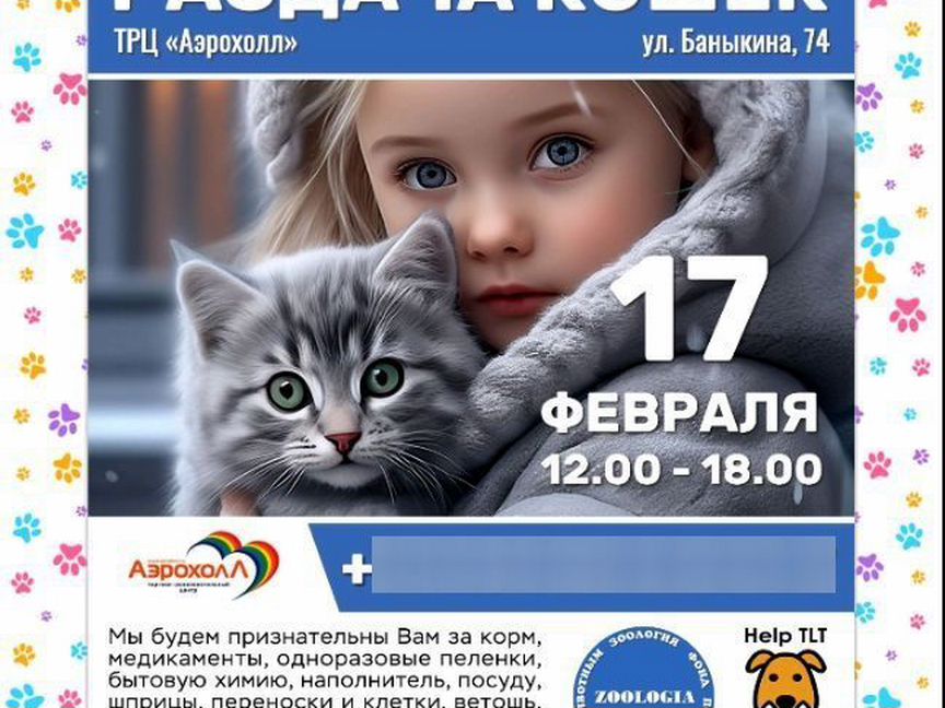 Выставка-раздача кошек