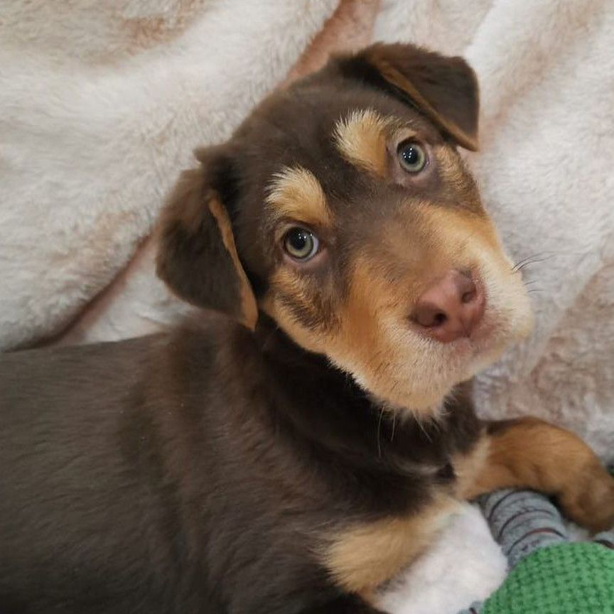 Умопомрачительный красавчик в добрый руки, мальчик