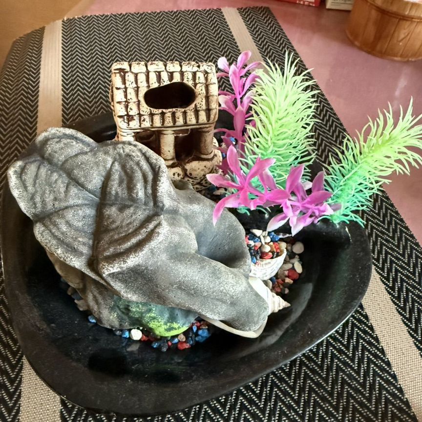 Атрибуты для аквариума