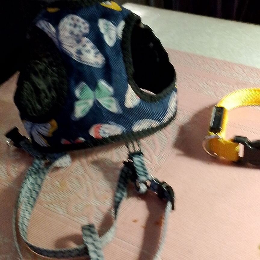 Ошейники для мелких животных