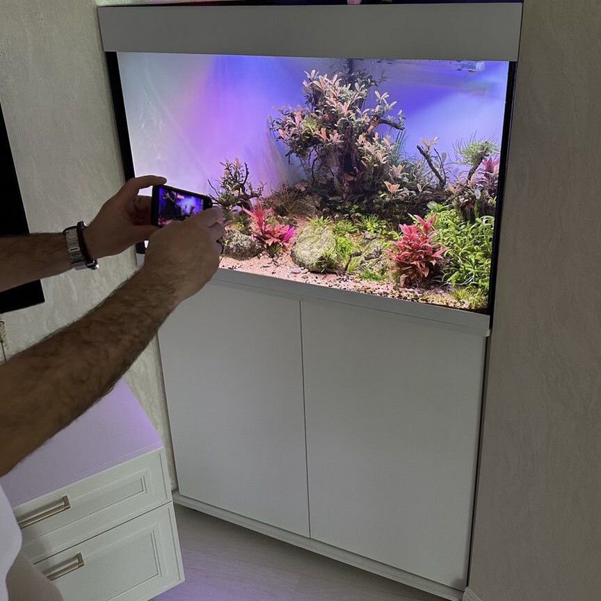 Аквариумный Дизайн